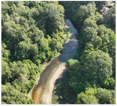 MAPS - Forrest County