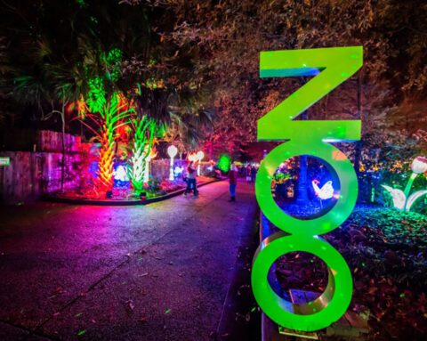 About Forrest County